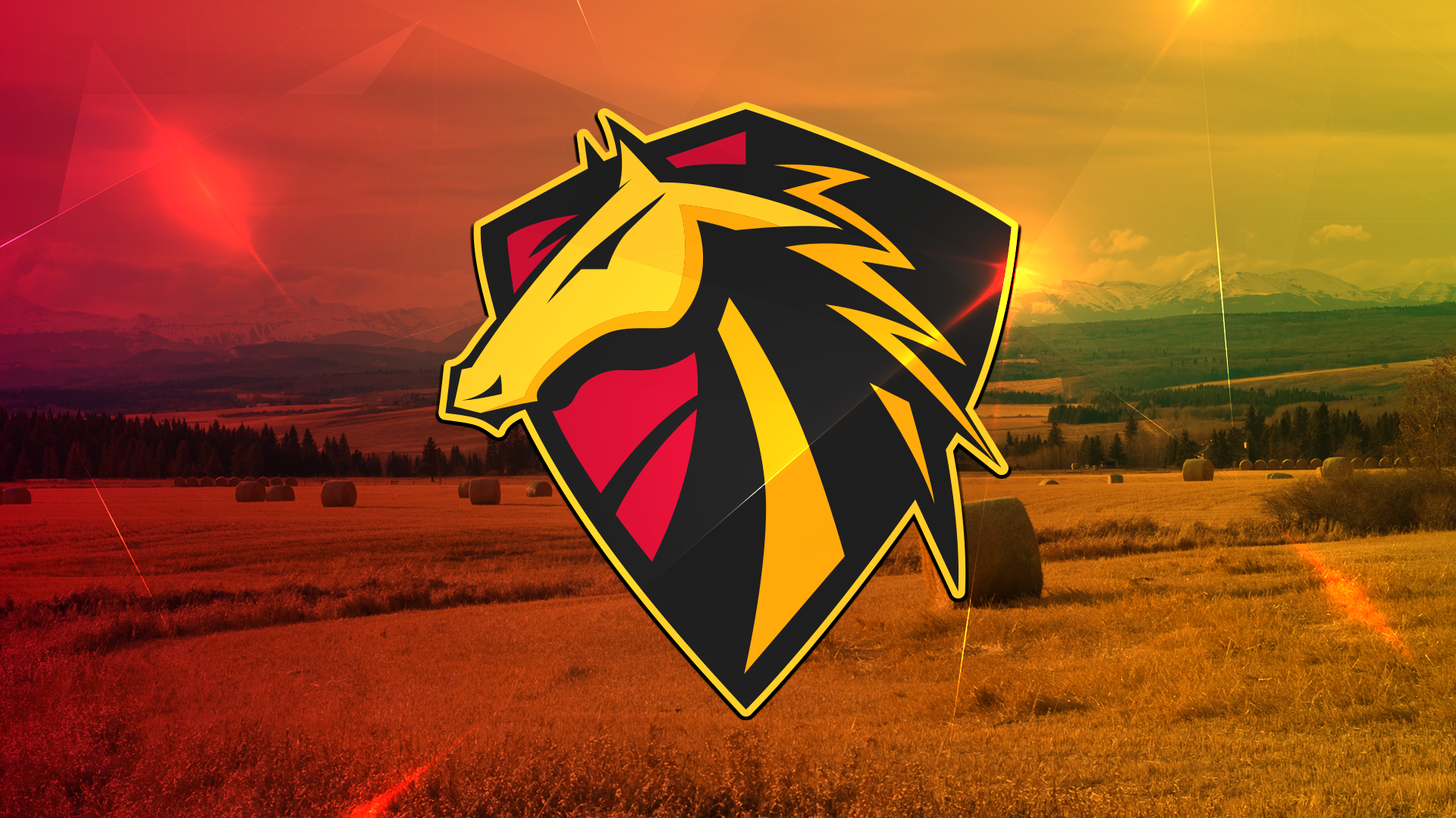 JUNIOR PROSPECTS HOCKEY LEAGUE ANNOUNCES THE RETURN OF THE CALGARY ...